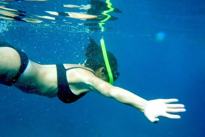 Private Los Arcos Snorkel and Beach Tour from Puerto Vallarta - Why This Tour Stands Out