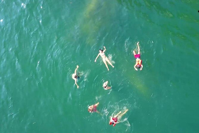 Private Los Arcos Snorkel and Beach Tour from Puerto Vallarta - Who Should Consider This Tour?
