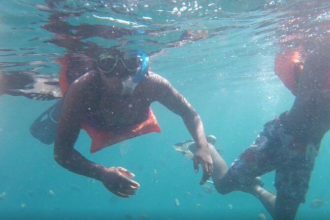 Private Los Arcos snorkeling - The Sum Up