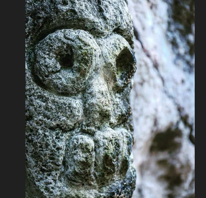 Private: Los Haitises & Cayo Levantado from Samana - Why It Works Well