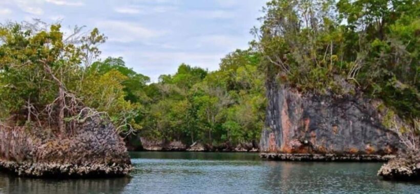 Private: Los Haitises National Park 2-Day Tour with Meals - An Honest Look at the Private Los Haitises National Park 2-Day Tour with Meals