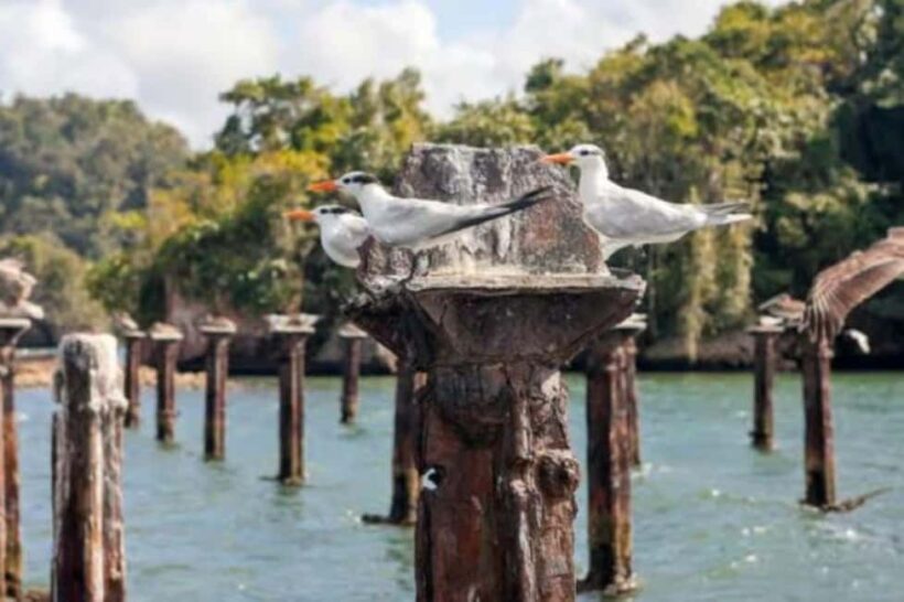 Private: Los Haitises National Park 2-Day Tour with Meals - The Practical Side: What to Expect