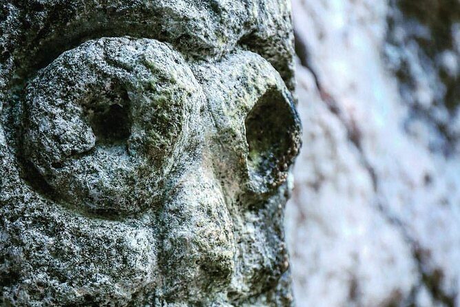 Private Los Haitises National Park and Caño Hondo Guided Tour with Lunch - Authentic Experiences and Traveler Feedback