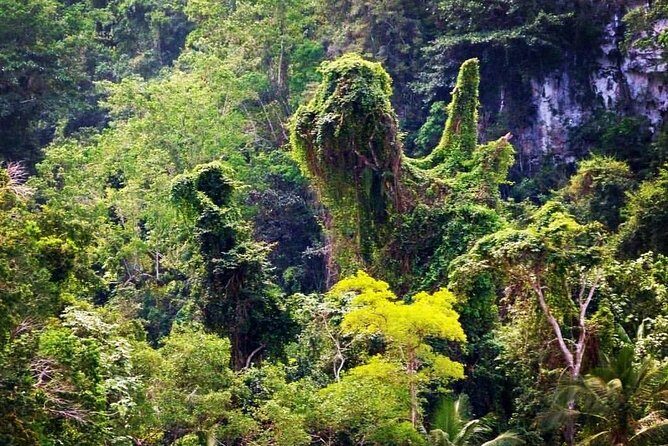 Private Los Haitises National Park and Caño Hondo Guided Tour with Lunch - Who Should Consider This Tour?