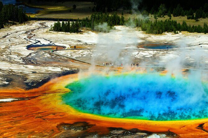 Private Lower Loop Tour of Yellowstone National Park - Authentic Feedback and Insights