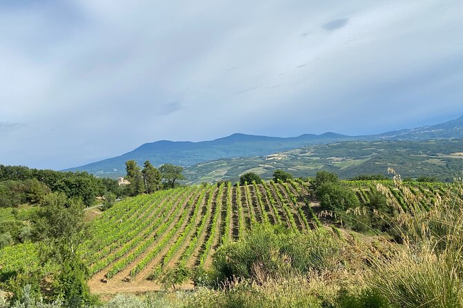 Private Lucca Wine Tour: 2 Wineries with Lunch - FAQ