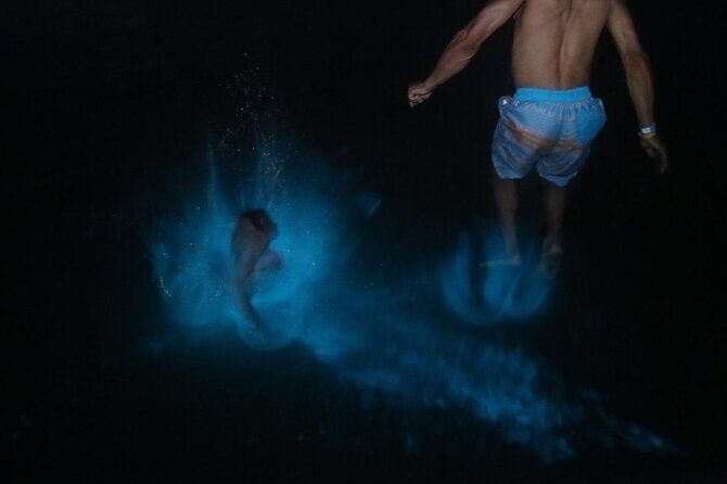 Private Luminous Lagoon Tour from Montego Bay - Key Points