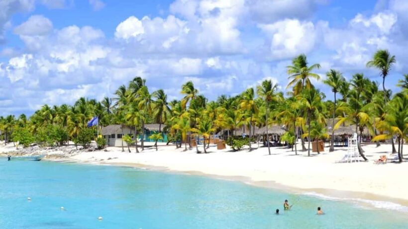 Private: Lunch on a Catamaran Cruise Around Catalina Island - A Closer Look at the Catalina Island Catamaran Tour