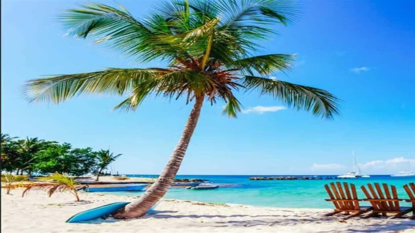 Private: Lunch on a Catamaran Cruise Around Catalina Island - Practical Details and Tips for Travelers