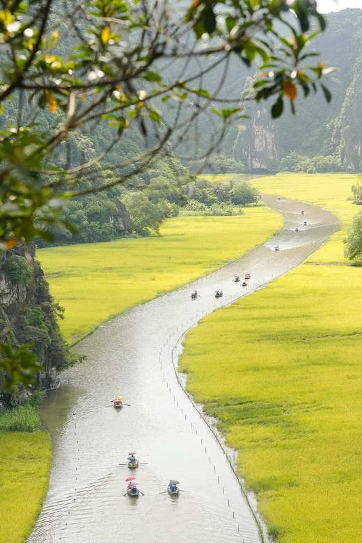 Private Luxury 1 Day Trip: Hoa Lu, Tam Coc, Mua Cave, Biking - Who Will Love This Tour?