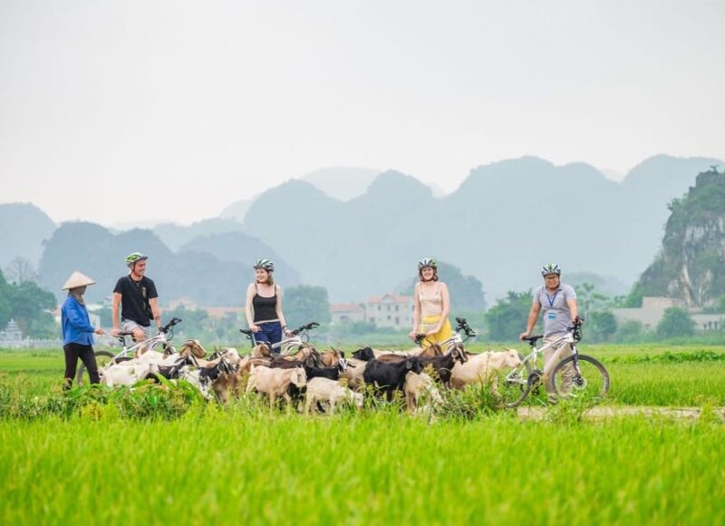 Private Luxury 1 Day Trip: Hoa Lu, Tam Coc, Mua Cave, Biking - FAQ