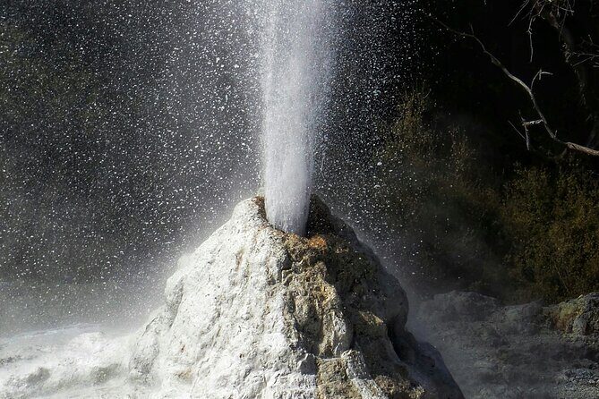 Private Luxury Auckland-Rotorua Geothermal Wonderlands - Scenic Return to Auckland