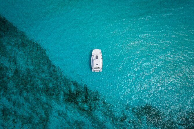 Private Luxury Bachelorette party Leopard Cat 51' - Pricing & Value