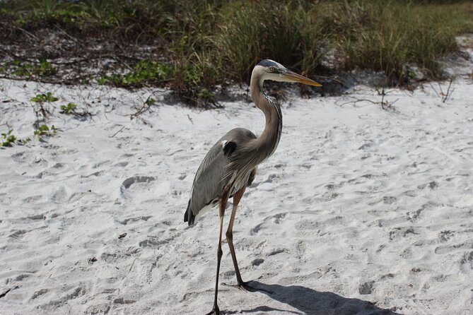 Private Luxury Boat Charter - Included Amenities