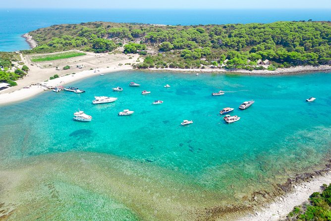 Private Luxury Boat Tour for 12 From Split, Brac, Trogir, Hvar - Reviews and Customer Feedback