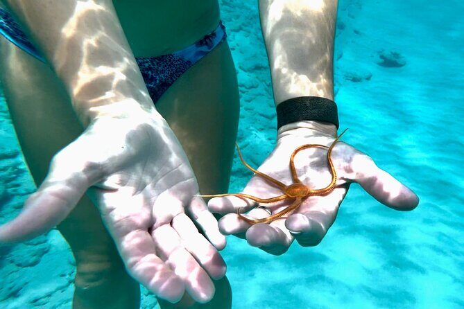 Private Luxury Catamaran Half Day Charter - An In-Depth Look at the Private Luxury Catamaran Experience