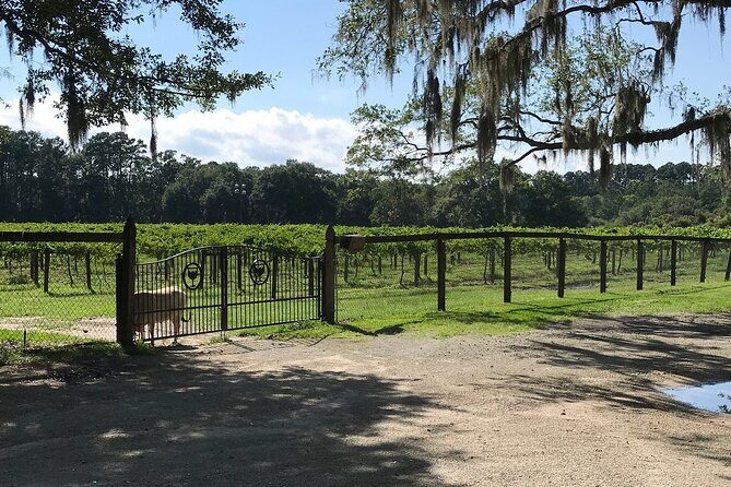 Private Luxury Chauffeured Transportation to & from Distilleries, Breweries - An In-Depth Look at the Tour