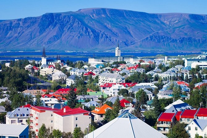 Private Luxury City Tour Reykjavik - Value and Price Point