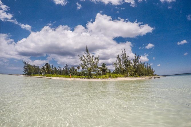 Private, luxury, custom charters to Stingray City, Snorkeling & More - Comfort and Amenities on Board