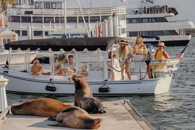 Private Luxury E-Boat Cruise with Wine, Charcuterie & Sea Lions Spotting - A Luxurious Escape on the Water: Private Electric Boat Tour in Santa Monica