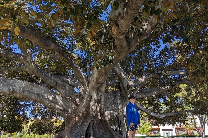 Private Luxury EV SUV Tour of Los Angeles With Hotel Pickup - Sustainability and Electric Vehicles