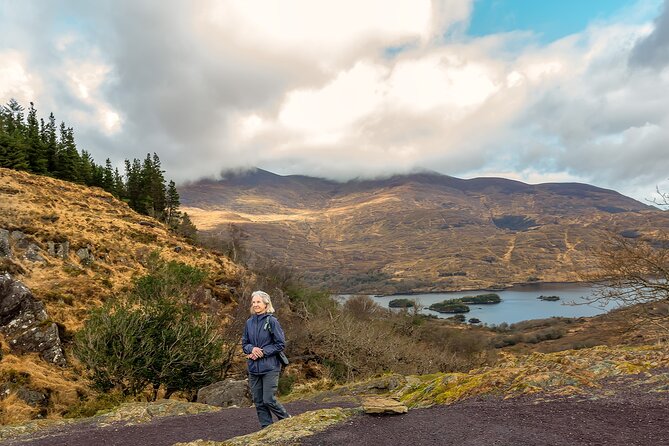 Private Luxury Full-Day Ring of Kerry Tour From Killarney - Comfortable and Spacious Transportation