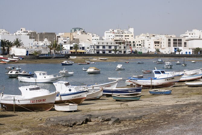 Private Luxury Full Day Tour of South of Lanzarote: Hotel or Cruise Port pick-up - Who Will Love This Tour?