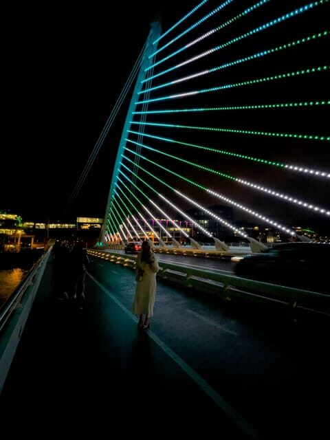 Private luxury half day ; Dublin City tour. - Who Will Love This Tour?