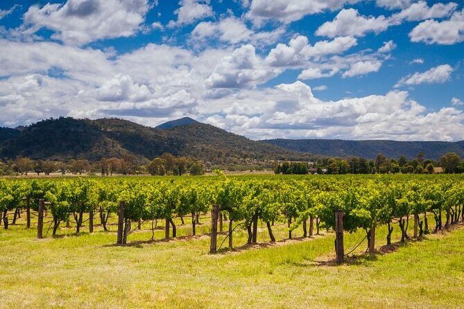 Private Luxury Hunter Valley Tour - up to 7 guests - FAQs