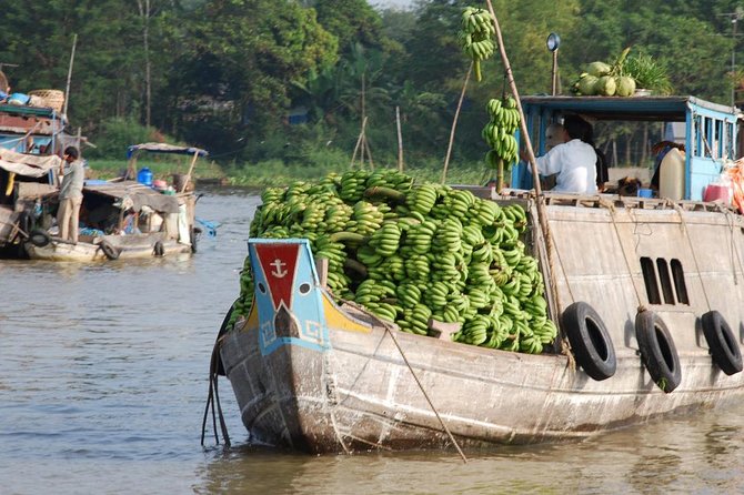 PRIVATE LUXURY Mekong Delta full day from HCM city - Introduction