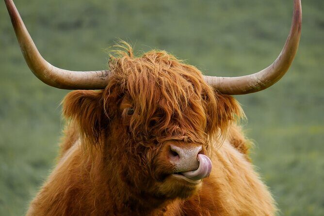 Private Luxury Mini Highlands Tour From Edinburgh - Braveheart - FAQ