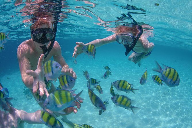 Private Luxury Sailing Cruise in Los Cabos with Lunch and Open Bar - Why This Tour Is a Good Value