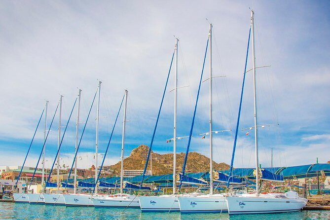 Private Luxury Sailing Cruise in Los Cabos with Lunch and Open Bar - Final Thoughts
