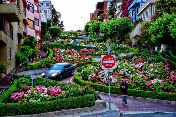 Private Luxury San Francisco City Tour - The Sum Up
