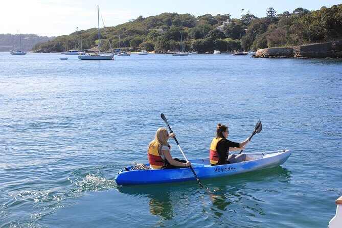 Private Luxury Sydney Harbour Cruise - Why the Experience is Worth the Price