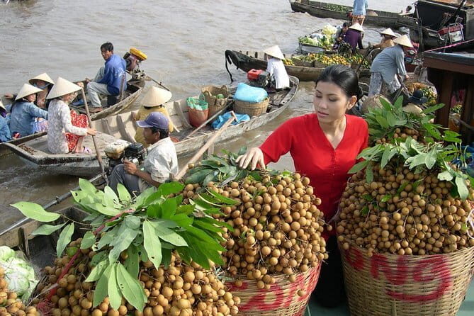 Private Luxury Tour Mekong Delta 1 day - Key Points