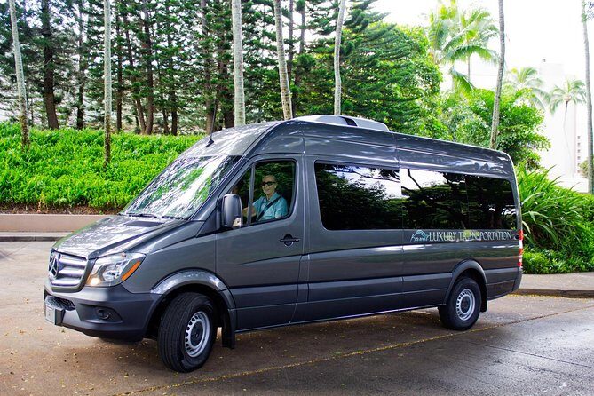 Private Luxury Tour of Kauai: South & West Shores - Who Will Appreciate This Tour?