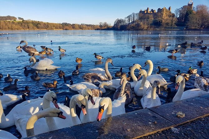 Private Luxury Tour of Loch Lomond, Oban, Glencoe & The Highlands - Memorable Highlights