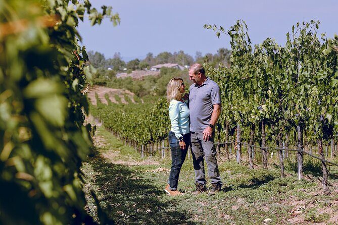 Private Luxury Transportation Experience - Sonoma - What the Price Offers