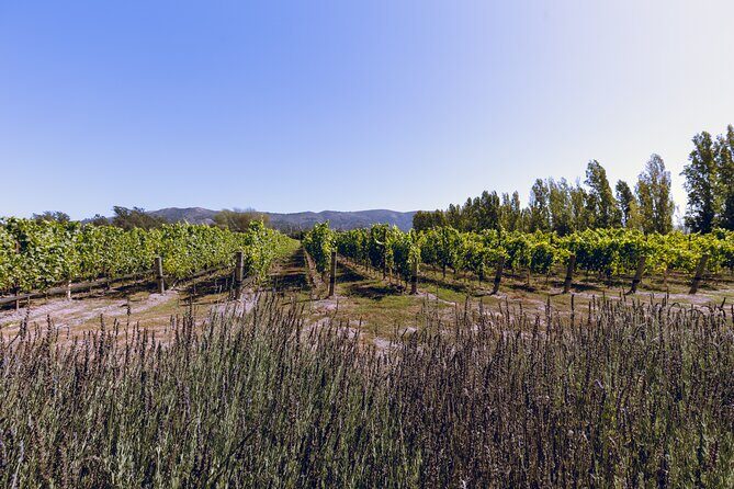 Private Luxury Transportation Experience - Sonoma - The Experience Beyond Wineries