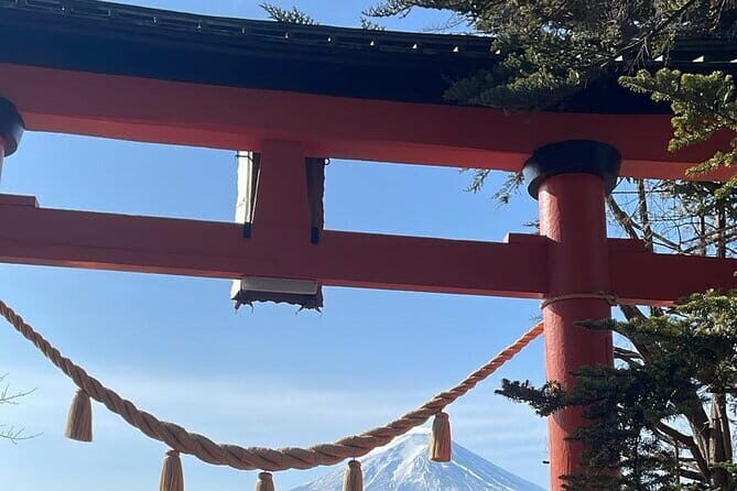 Private Luxury vellfire Tour Experience To Fuji And Hakone - An In-Depth Look at the Tour Experience