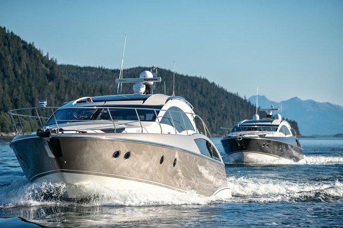 Private Luxury Whale Watch - The Advantages of a Private Whale Watching Tour