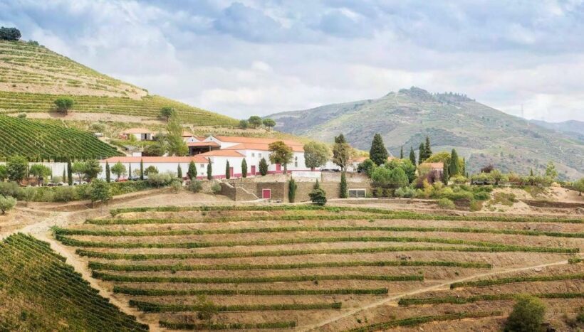 Private Luxury Wine & Food Tour in Douro - Return to Porto
