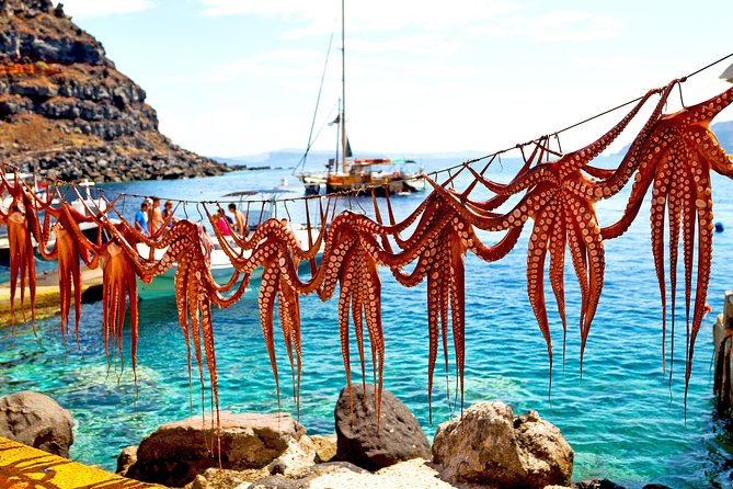 Private Luxury wine tour in Ancient Nemea and vineyards. - Frequently Asked Questions (FAQs)