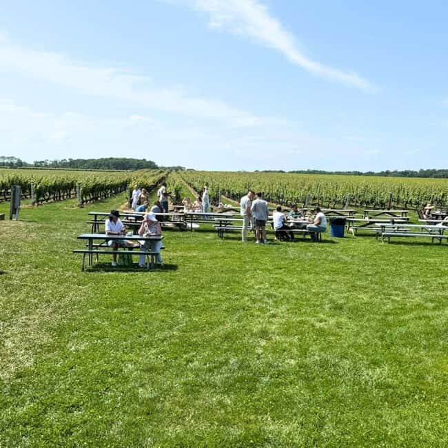Private Luxury Winery Trip of Long Island, New York, USA - Who Will Love This Tour?
