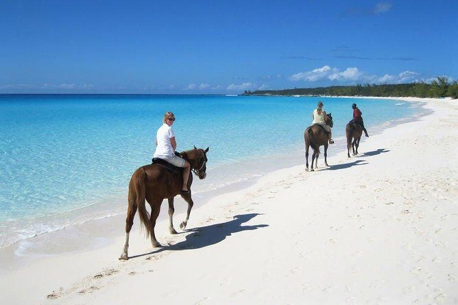 Private Macao Beach horseback riding in punta cana and Bayahibe - Key Points