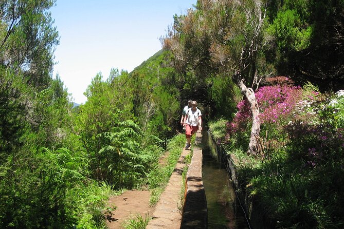 Private Madeira tour 8 people - What Travelers Say