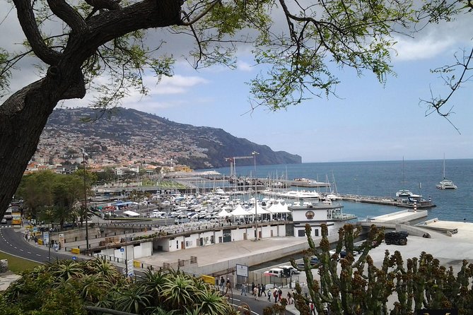 Private Madeira Tour up to 4 people - Who Should Consider This Tour?