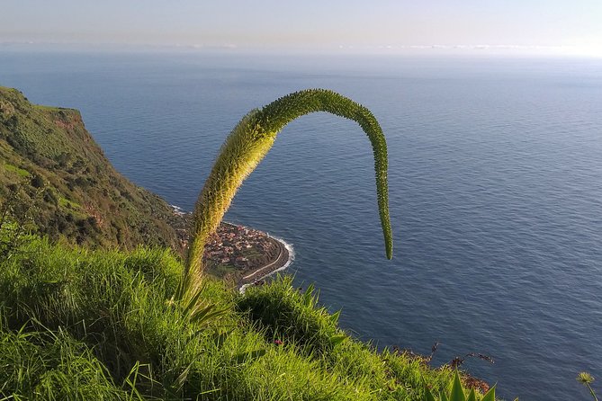 Private Madeira Tour up to 4 people - FAQs