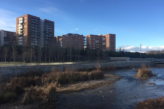 Private Madrid Fullday Guided Tour with Dlx Car - Who Would Love This Tour?